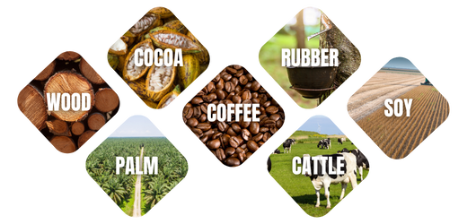 EU Deforestation Regulation (EUDR) compliance guide